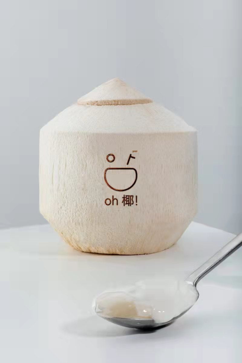 Coconut Jelly Triple 整只椰子冻 – Coconut Desserts, Bubble Boba milk tea and ...